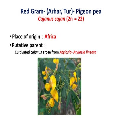 Pulses redgram - Botanical features and economic importance | PPT