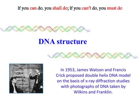 Watson and crick model of dna | PPT