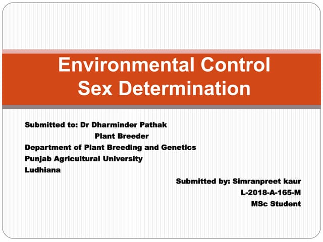 Sex Determination Chromosomal Theory Of Sex Determination Pptx