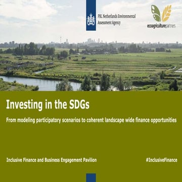 Investing in the SDGs: from modeling participatory scenarios to ...