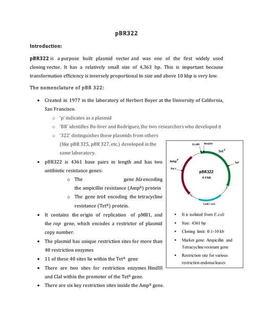High and low copy number of plasmids | PPT
