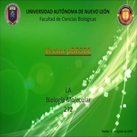 Vector PBR 322 | PPT