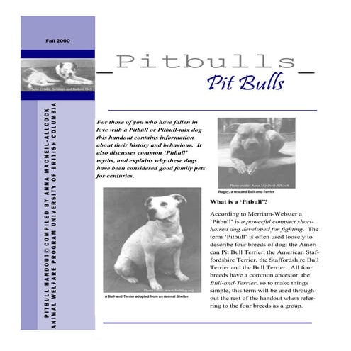 Pit Bulls - info, facts and education. | PDF