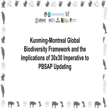 Draft Regional Biodiversity Strategic Action Plan for R2 | PPTX