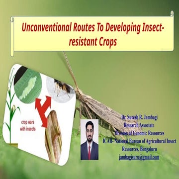 Unconventional Routes To Developing Insect-resistant Crops | PPTX