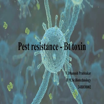 insect resistance plant, bt gene | PPTX