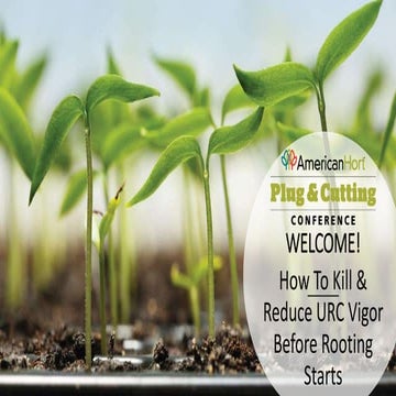 PCC 2019: How To Kill & Reduce URC Vigor Before Rooting Starts | PDF