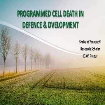 Programmed Cell Death | PPTX