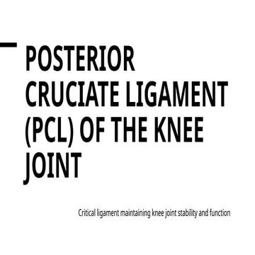 Posterior Cruciate Ligament- Surgical Anatomy | PPTX