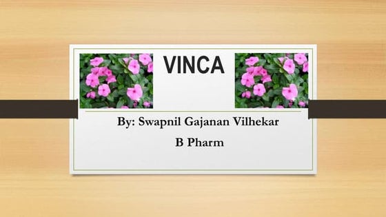 Vinca | PPTX | Gardening | Home & Garden