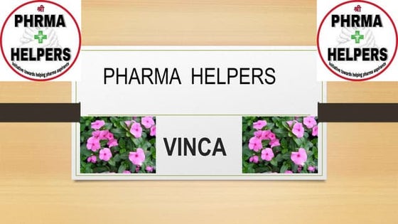 Vinca | PPT