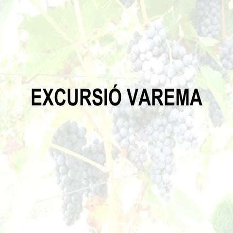 EXCURSIÓ VAREMA | PPT