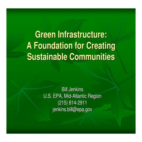 Green Infrastructure Overview | PDF