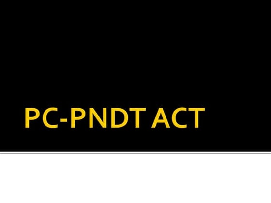 Pcpndt Logo Elevating Businesses With Custom Digital Services