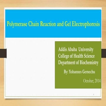 gel electrophoresis powerpoint on gel electrophoresis | PPT