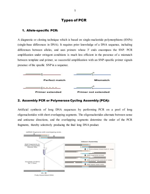 Loop Mediated Isothermal Amplification | PPTX | Chemistry | Science