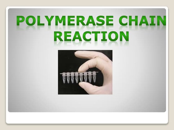 POLYMERASE CHAIN REACTION (PCR) | PPTX