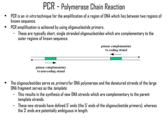 PCR polymerase chain reaction concepts .ppt