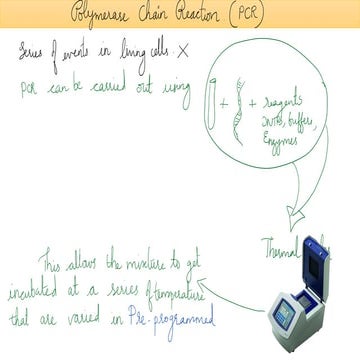 Polymerase Chain Reaction | a short note | Arman Firoz | PDF