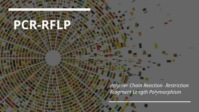 RFLP | PPTX