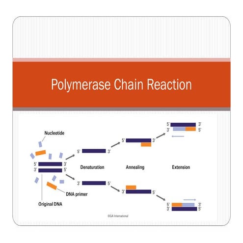 PCR and Primer design[604].pdf