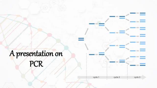 Polymerase chain reaction | PPT