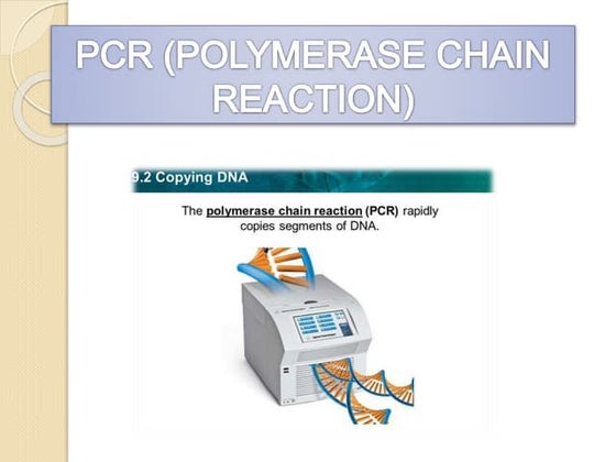 POLYMERASE CHAIN REACTION (PCR) | PPTX