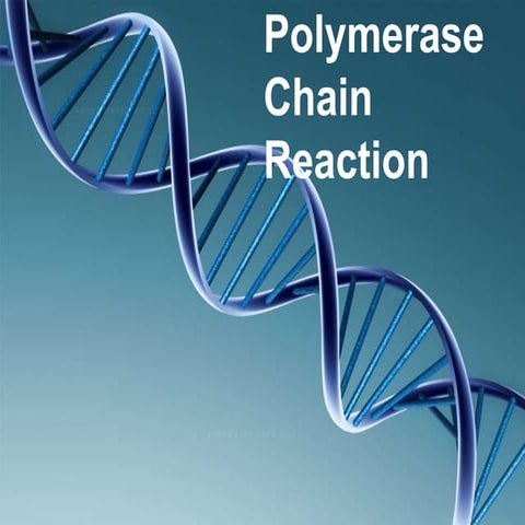 Polymerase chain reaction | PPT