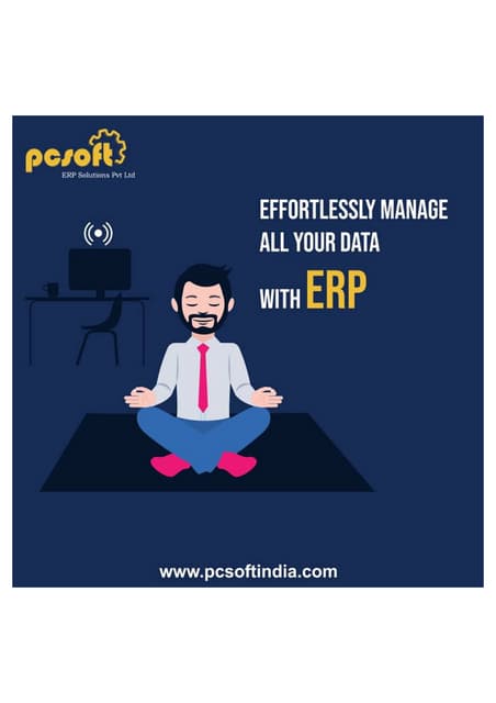 Pcsoft ERP System | PDF