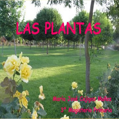Power Point de Las Plantas | PPT