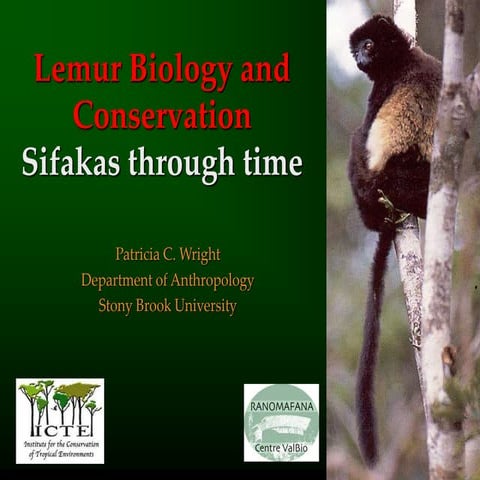 PCW lecture - Loyola06.ppt | Free Download