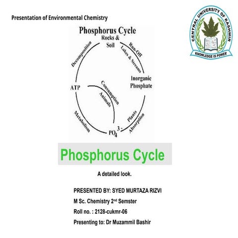 Phosphorus_cycle in Geology, Geography and Environmental Science.pptx
