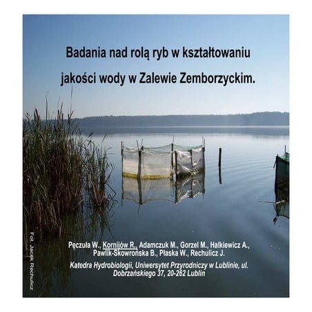 Lublin - Rzeka Bystrzyca | PDF