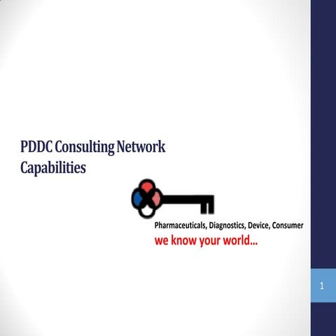 PDDC Consulting Network Capabilities | PPT