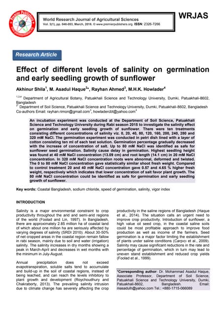 Expt b1 diffusion in beetroot modified | PDF