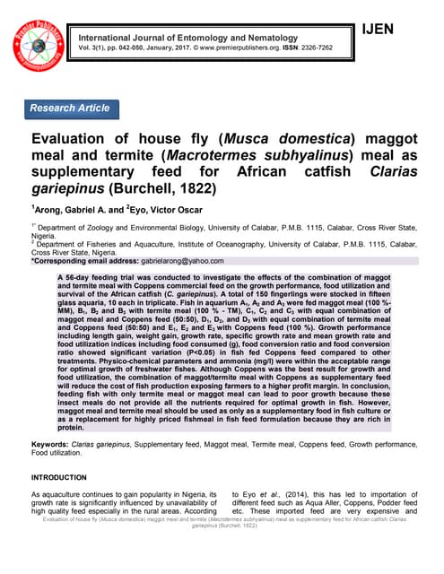 supplementary feeding of African cat fish with maggot.pptx