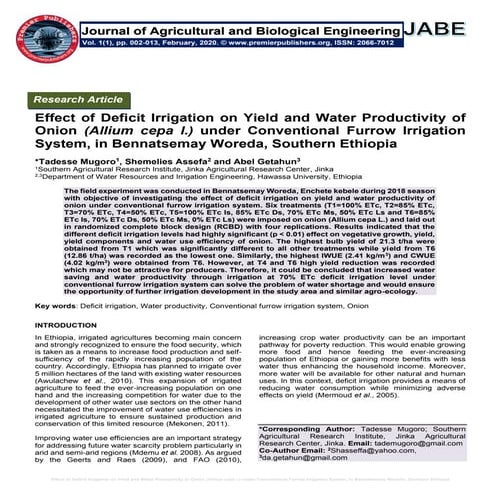 Effect of Deficit Irrigation on Yield and Water Productivity of Onion (Allium cepa l.) under ...