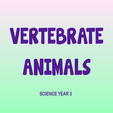 vertebrate animals | PPT