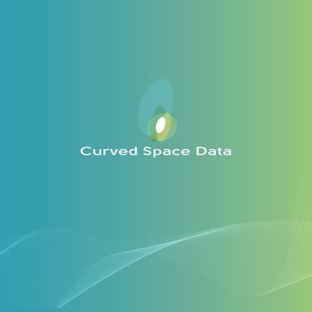 Curve Space Data BrandBookpdf | PDF