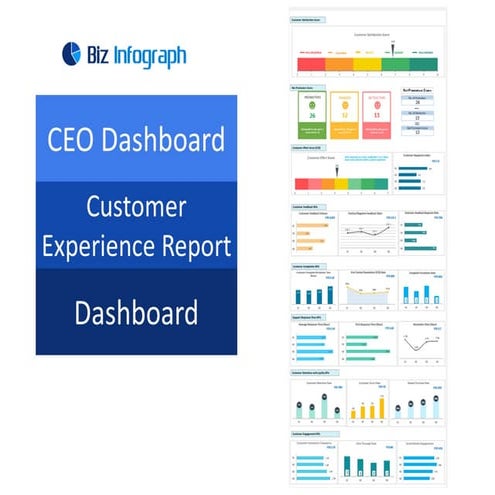 CEO Dashboard - Customer Experience Reports | PPT