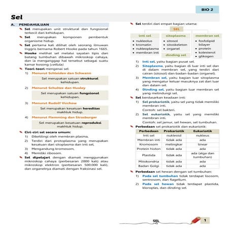 Sel | PDF