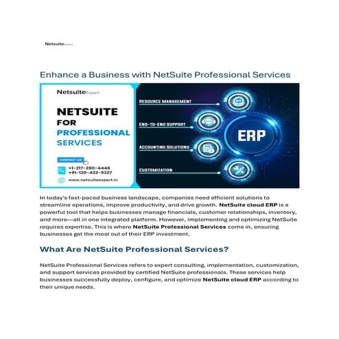Enhance a Business with NetSuite Professional Services | PDF