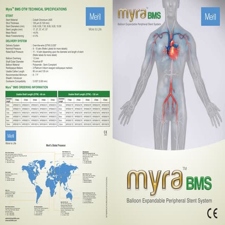 MYRA BMS - Peripheral Stent Brochure | PDF