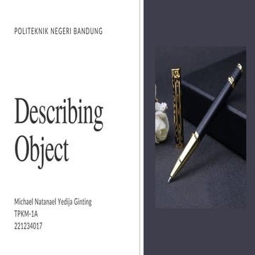 Describing A Pen | PDF