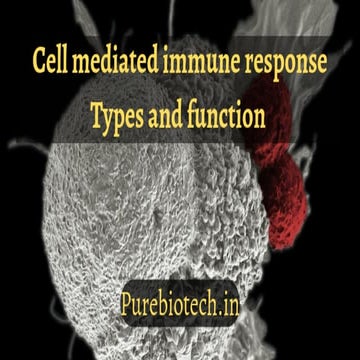 Cell mediated immune response, Types and Functions | PPT