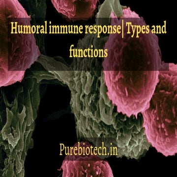 Humoral immune response|study notes | PDF