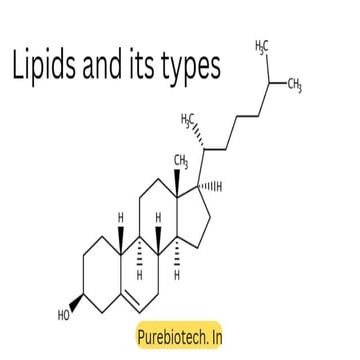 Lipids and types | PPT