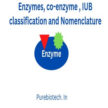 Enzymes, Types and Functions | PDF | Biological Sciences | Science