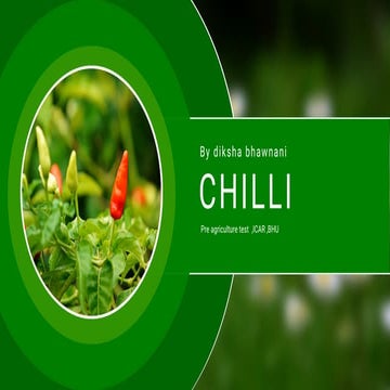 All about chilli by diksha | PDF
