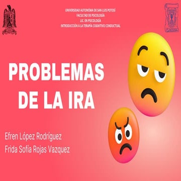 Manejo de la ira. Abordaje de la terapia cognitivo conductual | PDF